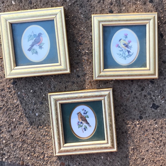 Wall Decor | 3 Vintage Small Framed Bird Prints | Poshmark